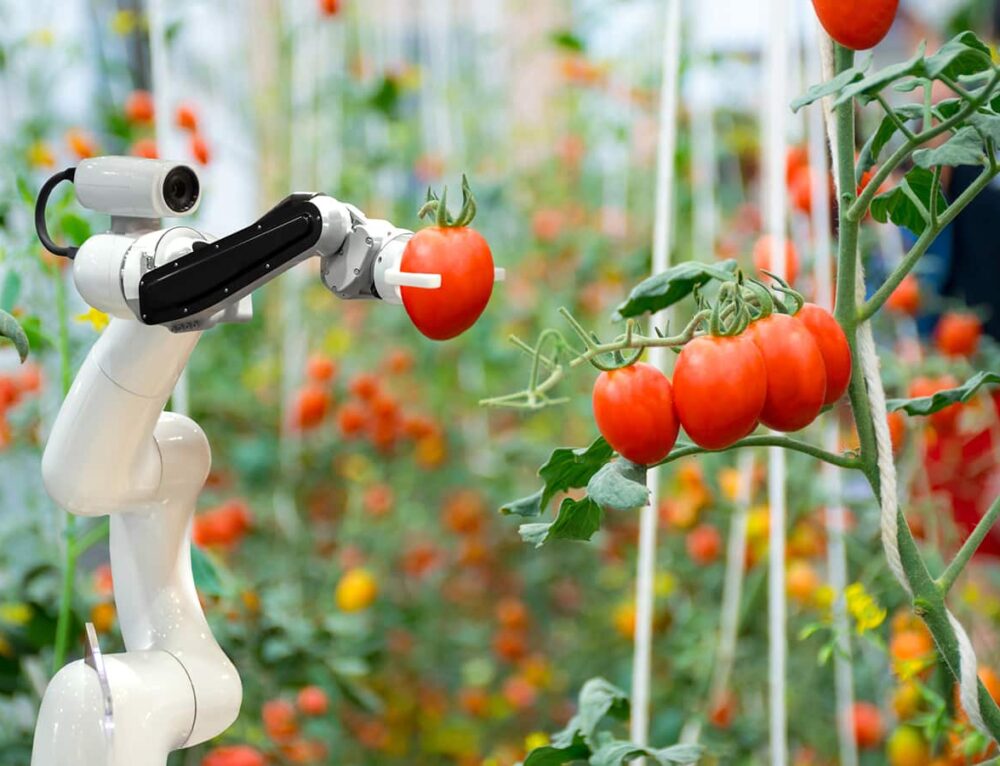 IPC Designer + Expert Certification - PIEK